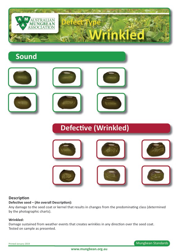 Allenden Seeds Pty Ltd | Growers
